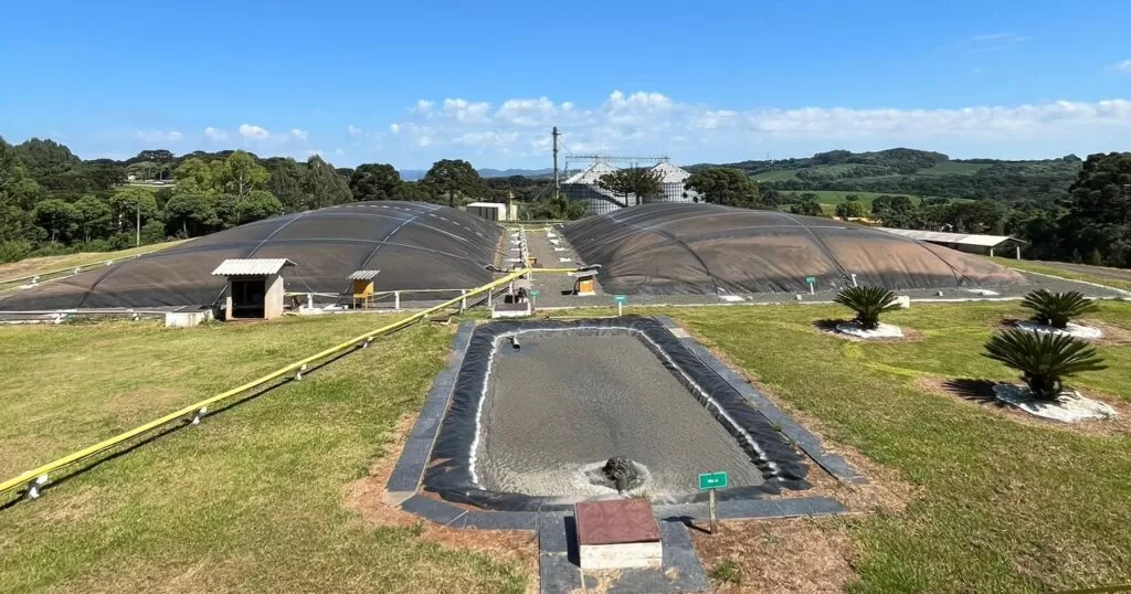 Os 4 Tipos de Biodigestores Mais Usados no Brasil - Dr. Biogás